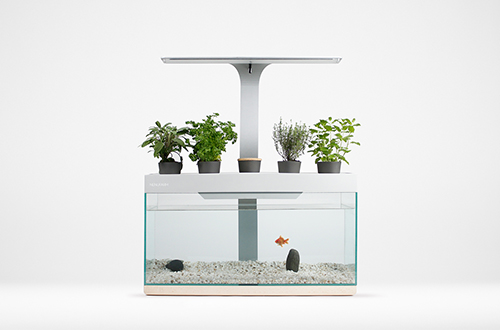 Découvrez nos projets